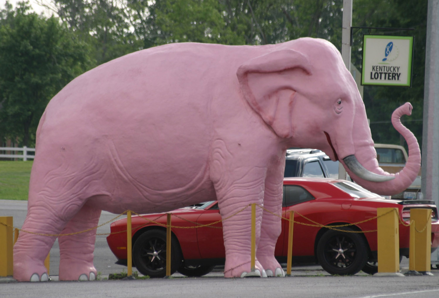 Seeing pink elephants | The Urge to be Someplace Else